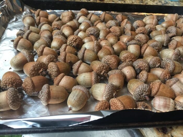 Decorating and preserving acorns for fall decor (Easy Tutorial)