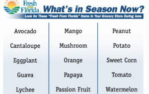 Fresh From Florida Locally Grown Produce and Seafood - Staying Close To ...